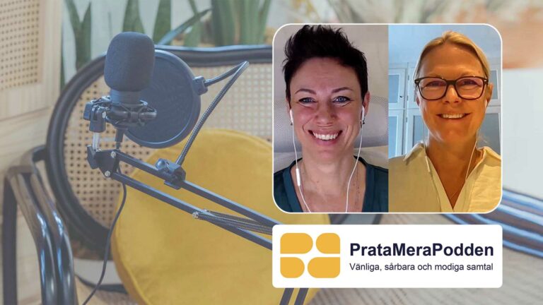 Assumption is the mother of all fuck ups - om misstag och utveckling i ...